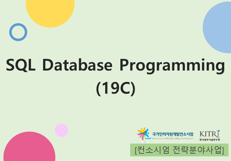 [실시간 라이브 원격] SQL Database Programming (19C)