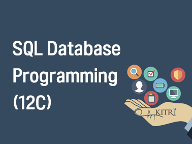 SQL Database Programming (12C)