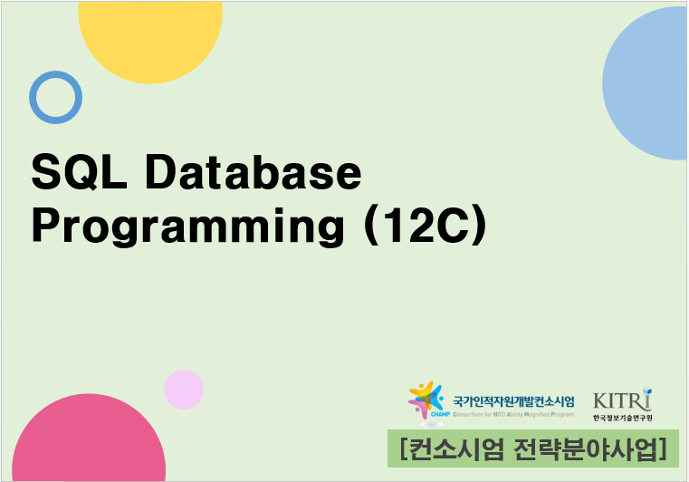 [실시간 라이브 원격] SQL Database Programming (12C)