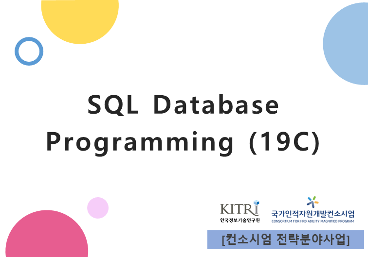 [실시간 라이브 원격]SQL Database Programming(19C)